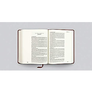 ESV Single Column Journaling Bible (TruTone, Chestnut, Leaves Design)