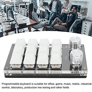 One Handed Macro Mechanical Keyboard, Portable Multifunctional One Handed Mechanical Gaming Keypad with 12 Fully Programmable Keys & Knob, for Windows, for Linux, for Vista, for OS X(White)