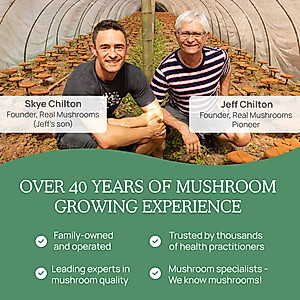 Real Mushrooms 5 Defenders Capsules - Organic Mushroom Extract w/ Chaga, Shiitake, Maitake, Turkey Tail, & Reishi - Mushroom Supplement - Vegan, Non-GMO, 90 Caps