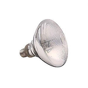 Mega-Ray Mercury Vapor Bulb - 160 Watts (120V)
