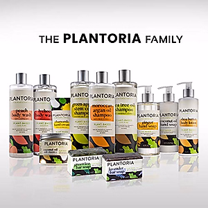 Plantoria Moroccan Argan Oil Shampoo | Plant Based Pure Vegan Organic Anti Dandruff & Frizz Hair Products for Women, Men, Teens, Kids | Natural Hair Shampoo With Coconut, Argan, Jojoba, Vitamin E