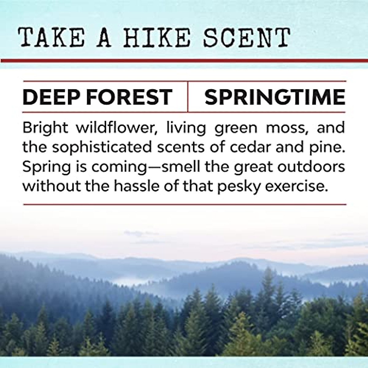 Forest Witch Infused with Wild Foraging, Meditation & Forest Friends Who Get Me Scent: Take A Hike