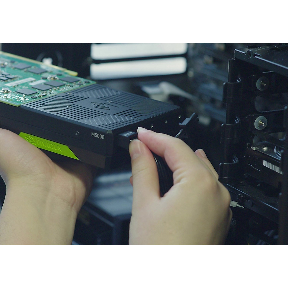 NVIDIA Quadro M5000 graphics card - Quadro M5000 - 8 GB - By NETCNA