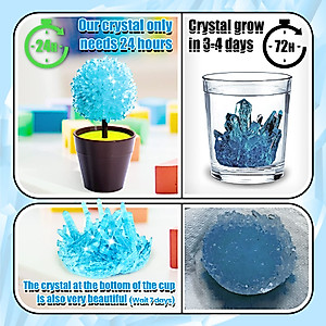 GobiDex Science Kits for Kids, Crystal Growing Kit-Crystals Grow Fast in 24 Hours, STEM Projects Learning & Education Toys Gift for Boys & Girls, Arts and Arafts for Kids Ages 6-8 8-12