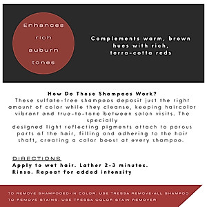 Watercolors Semi Permanent Color Depositing Shampoo. Sulfate & Paraben Free to Maintain & Enhance Hair Color 8 fl oz - WET BRICK