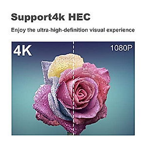 HDMI Extension Cable,LEENUE Short HDMI Male to Female Adapter,4K 3D HDMI Extender Connector for Google Chrome Cast, Roku Streaming Stick, 2-Pack