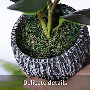 LORYDECO Artificial Potted Plants, Real Looking Fiddle Leaf Fake Plant with Pot, Plastic Watercress Leaves Small Faux Trees with Cement Planter, Greenery Plant Table Decor for Home Indoor