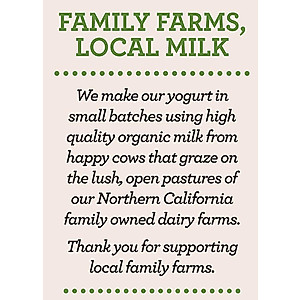 Clover Sonoma Organic Cream On Top Blueberry Yogurt, 6 Oz