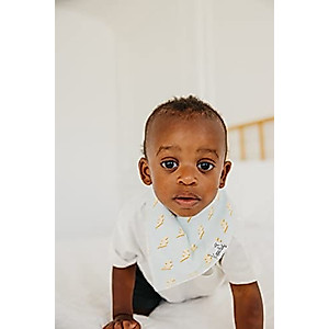 Copper Pearl Baby Bandana Drool Bibs for Drooling and Teething 4 Pack Gift Set Vance, Soft Set of Cloth Bandana Bibs for Any Baby Girl or Boy, Cute Registry Ideas for Baby Shower Gifts