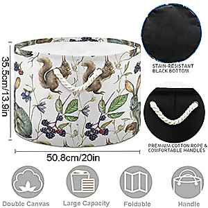 visesunny Forest Gray Hare Mouse Squirrel Flower Herb Berry Laundry Baskets Fabric Storage Bin Storage Box Collapsible Storage Basket Toy Clothes Shelves Basket for Bathroom,Bedroom,Nursery,Closet,Off