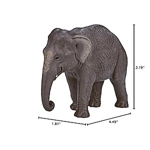 MOJO Asian Elephant Realistic International Wildlife Toy Replica Hand Painted Figurine, Grey (387266)