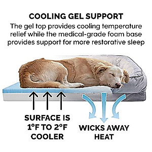 Furhaven Cooling Gel Dog Bed for Large Dogs w/ Removable Bolsters & Washable Cover, For Dogs Up to 95 lbs - Plush & Velvet Waves Perfect Comfort Sofa - Granite Gray, Jumbo/XL, 40.0"L x 32.0"W x 9.5"Th