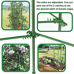 CKE 3 Pack Tomato Cage – Plant Stakes and Support with Clips - Upto 72 inches Tall with 40 Pcs Clips + Garden Twist Ties