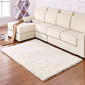 CPAI Replacement Hose for Bissell Zing Canister Vacuum,Compatible with Models 2156A,1665,16652,1665W,21562 (Pack of 2)