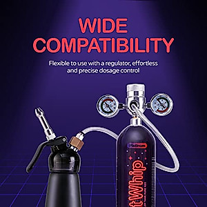 GreatWhip Fruit Flavor 615g No2 Tank Nitrous Oxide Tank Cylinder 0.99L Nitrous Oxide Cartridges for Whip Cream Dispenser, Random delivery (Mango+Blueberry+Pineapple+Peach+Strawberry+Watermelon),