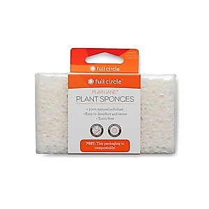 Full Circle Plain Jane Plant-Based Cellulose Sponge, Natural