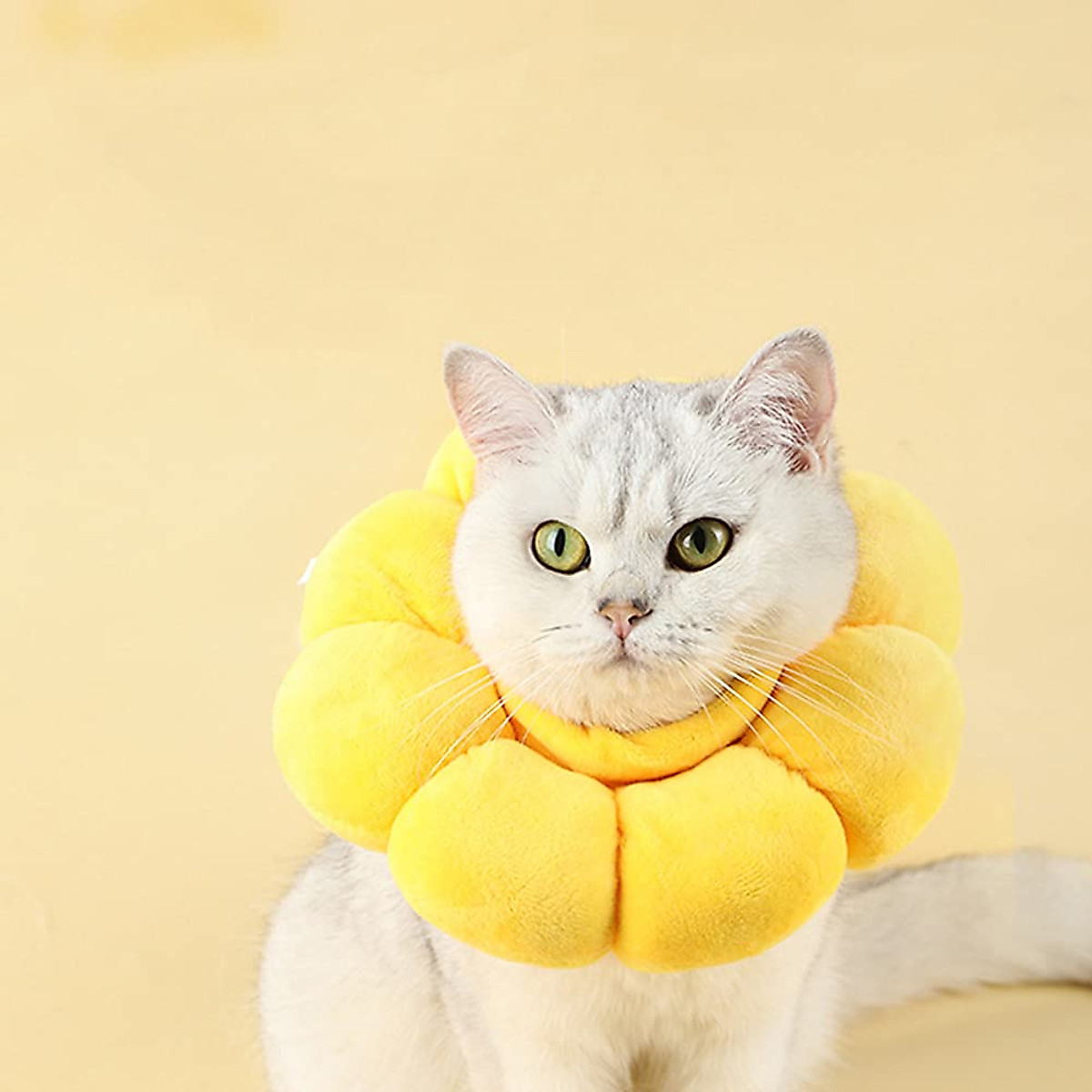 1Pc Elizabeth Collar - bite Collar cat Cone cat Recovery Cone Elizabethan Dog Surgery Collar Lick Cone Cute cat Neck Cone Hamster Recovery Collar After pp Cotton pet