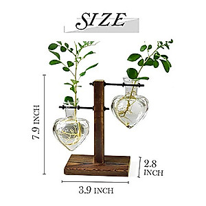 XXXFLOWER Plant Terrarium Wooden Stand, Hydroponic Planter Bulb Glass Metal Swivel Holder Retro Air Plants Water Plants for Home Office Decoration, Plant Lover Gifts - 2 Love Bulb Vase