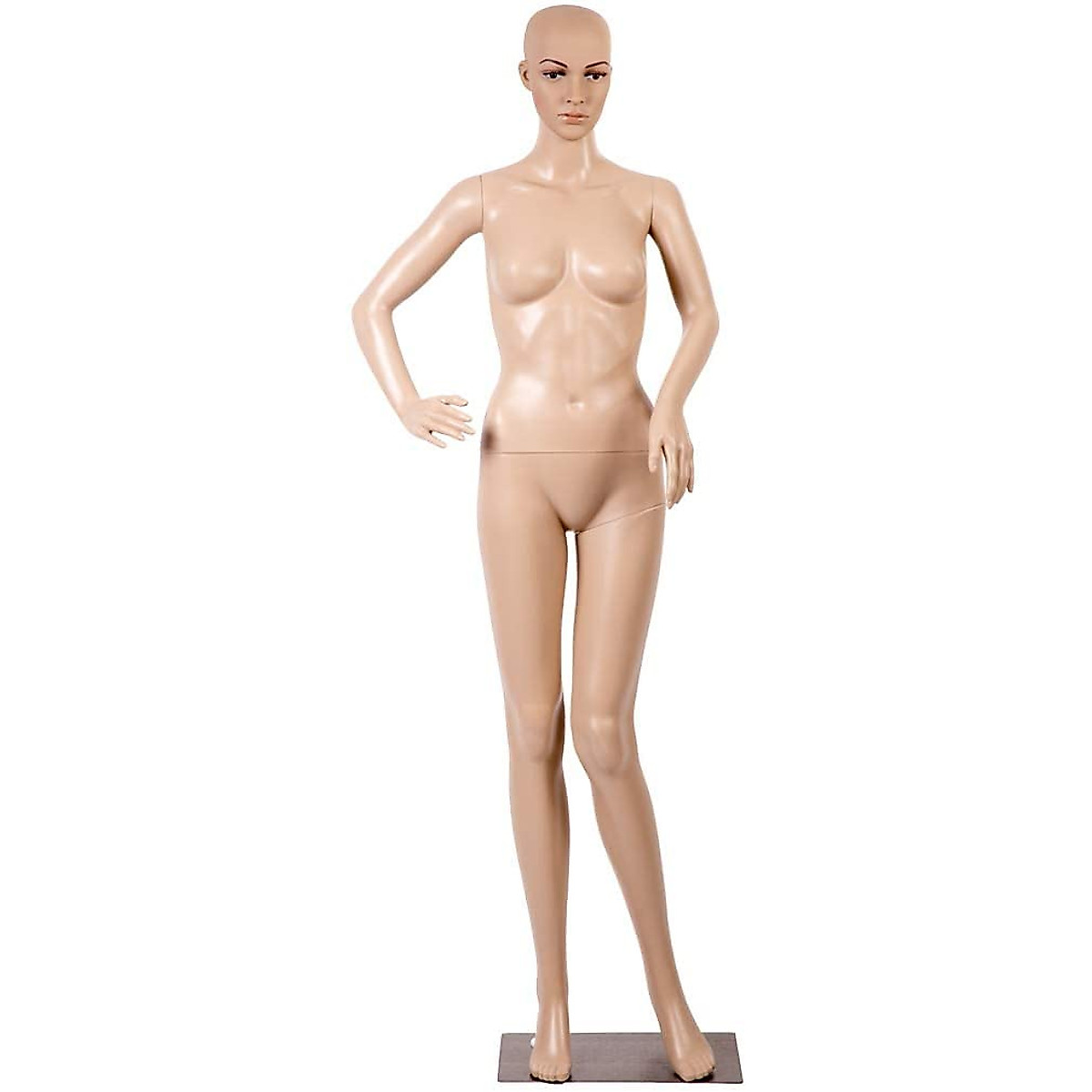 Female Mannequin Torso Dress Form Mannequin Full Body 69" Sewing Dress Model w/Metal Base Adjustable Detachable Mannequin Stand Clothing Form Realistic Mannequins Display