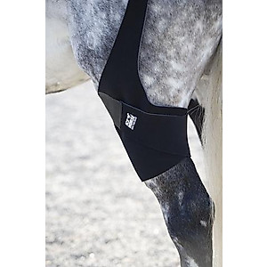 Ice Horse Pony Size Pair Stifle Wrap for Equine Therapy - Comes with 4 Ice Packs
