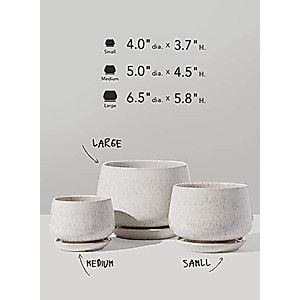 LE TAUCI Plant Pots, 4.1+5.1+6.5 inch, Set of 3, Ceramic Planters with Drainage Hole and Saucer, Indoor Flower Pot with Hole Mesh Pad, Gifts for Mom, Reactive Glaze Beige
