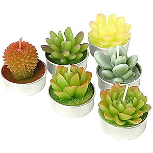 SSleng Cactus Tealight Candles, Handmade Delicate Succulent Cactus Candles（ Perfect for Birthday Party ,Wedding, Spa, Home Decor)