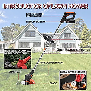 Windpost Electric Weed Wacker,650W Cordless Weed Eater,21V String Trimmers,Weed Wacker Cordless with Battery and Charger for Home Garden, Lawn, Yard, Bush Trimming & Pruning (Black)