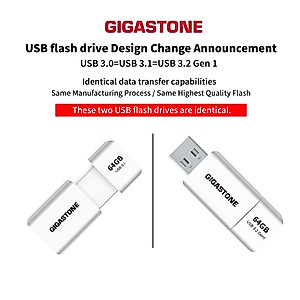 Gigastone Z60 64GB 2-Pack USB 3.2 Gen1 Flash Drive, Ultra High Speed Pen Drive, Capless Retractable Design Thumb Drive, USB 2.0 / USB 3.0 / USB 3.1 Interface Compatible