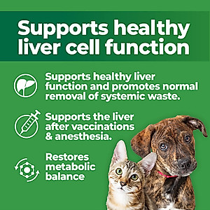 Animal Essentials Milk Thistle Liver Support for Dogs and Cats, 30 Capsules - Made in USA Liver Supplement