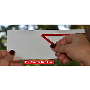 Window Fly Traps by Titan Traps - Sticky Fly Paper, Window Bug Catcher, Indoor Fly Trap, Fly Paper Bug Sticky Strips, Window Fly Strips, Bug Sticky Trap - 15 Disposable Fly Traps (1 Pack)