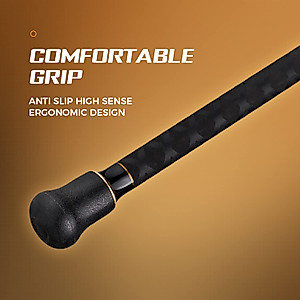 BERRYPRO Surf Spinning Rod Graphite Surf Fishing Rod (9'/10'/10'6''/11'/12'/13'3'') (12'-2pc)