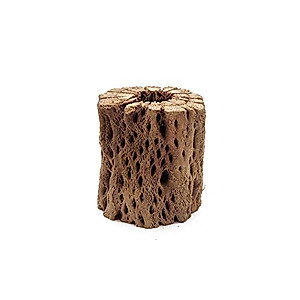 3, 6, 9, 12 Inch All Natural Teddy Bear Cholla Wood Extra Hollow Untreated Organic Aquarium Driftwood Decoration Chew Toy Shrimp Crab Pleco Cichlid Nano Tank Birds 1 or 5 Pieces (1 Piece, 3 inch)