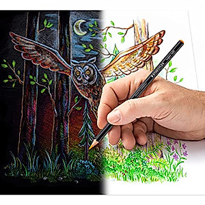 Staedtler Super Soft coloring pencils, rich pigments perfect for light and dark paper, Assorted Color Pencils, Box of 24, 149C C14