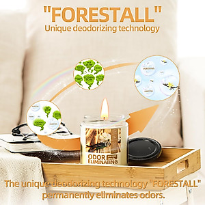 MicCai Vanilla Odor Eliminating Candles for Home Scented, Eliminates 99% of Pet, Smoke, Food and Other Smells Quickly, Highly Fragranced Candle,Premium Soy Candles Set for Women