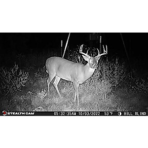 Stealth Cam GMAX32 NO GLO Vision 32MP Photo & 1080P Video at 30FPS 42-940nm LEDs 0.4 Sec Trigger Speed 100Ft Detection & IR Range Hunting Trail Camera