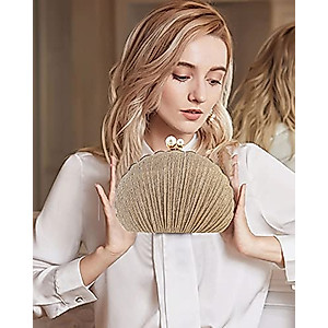 Felice Ann Women Mini Seashell Evening Bag Clutch Handbag Chain Strap Cross-body Shoulder Bag,Pleated Golden