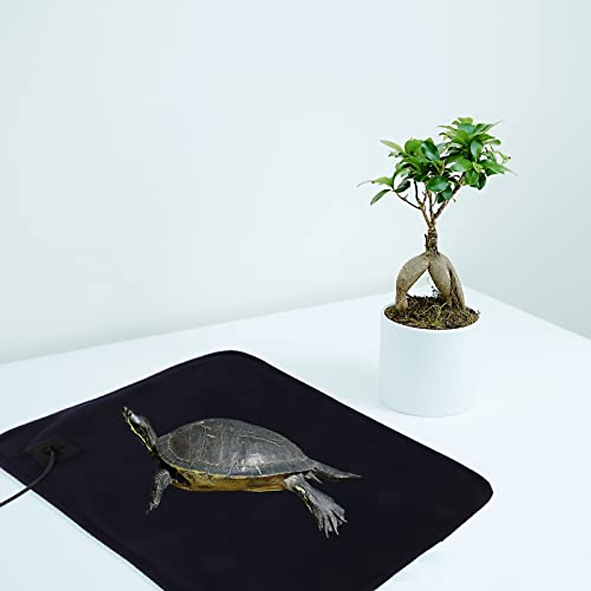 Scicalife 1pc Turtle Mat Reptile Heating Pad Reptile Warming Sleep Mat Turtle Heating Mat Reptile Supplies