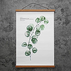 FALAMON 2 Pack Magnetic Poster Hanger Frame, 12x16 12x18 12x24 Teak Wood Magnet Poster Frame for Posters, Prints, Photos, Pictures, Maps, Scrolls, and Canvas Artwork