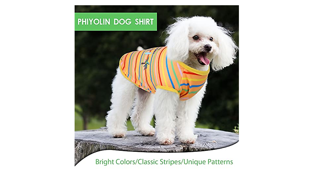 Stylish Phiyolin Dog Shirts for Small & Medium Dogs