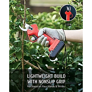 TERRADISE Cordless Electric Pruning Shears, Battery Operated Pruning Shears with 2 Rechargeable Lithium Batteries for Gardening, Professional Tree Branch Pruner, 1.2 Inch (30 mm) Cutting Diameter
