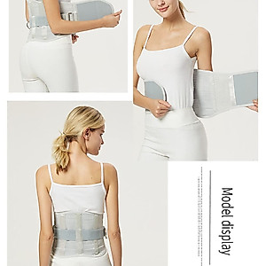 ZFF Lower Back Brace Breathable Lumbar Support Belt for Lifting and Pain Relief Herniated Disc Sciatica Scoliosis with Self-Heating Lumbar Pad for Men and Women Gray (Size : L/Large)