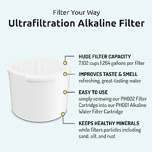 Invigorated Water Ultrafiltration Alkaline Filter - Alkaline Water Filter Replacement for Alkaline Water Filter Pitcher - pH002 Alkaline Pitcher Cartridge Alkaline Water System - Lasts 1000 L (1 Pack)