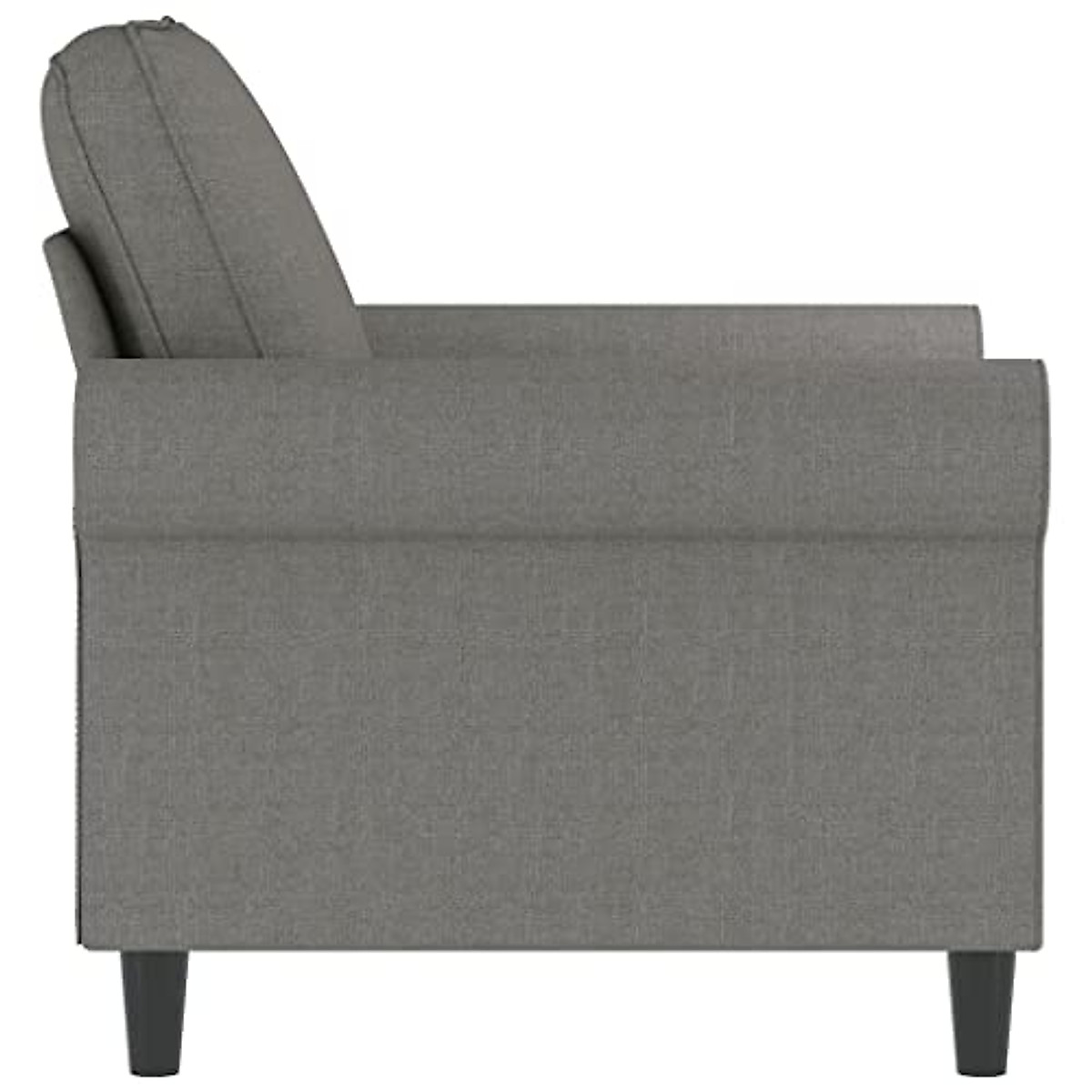 WHOPBXGAD Sofa Chair,Living Room Sofas, upholstered Sofas for Living Rooms, bedrooms, Offices and Apartments,Dark Gray 23.6" Fabric