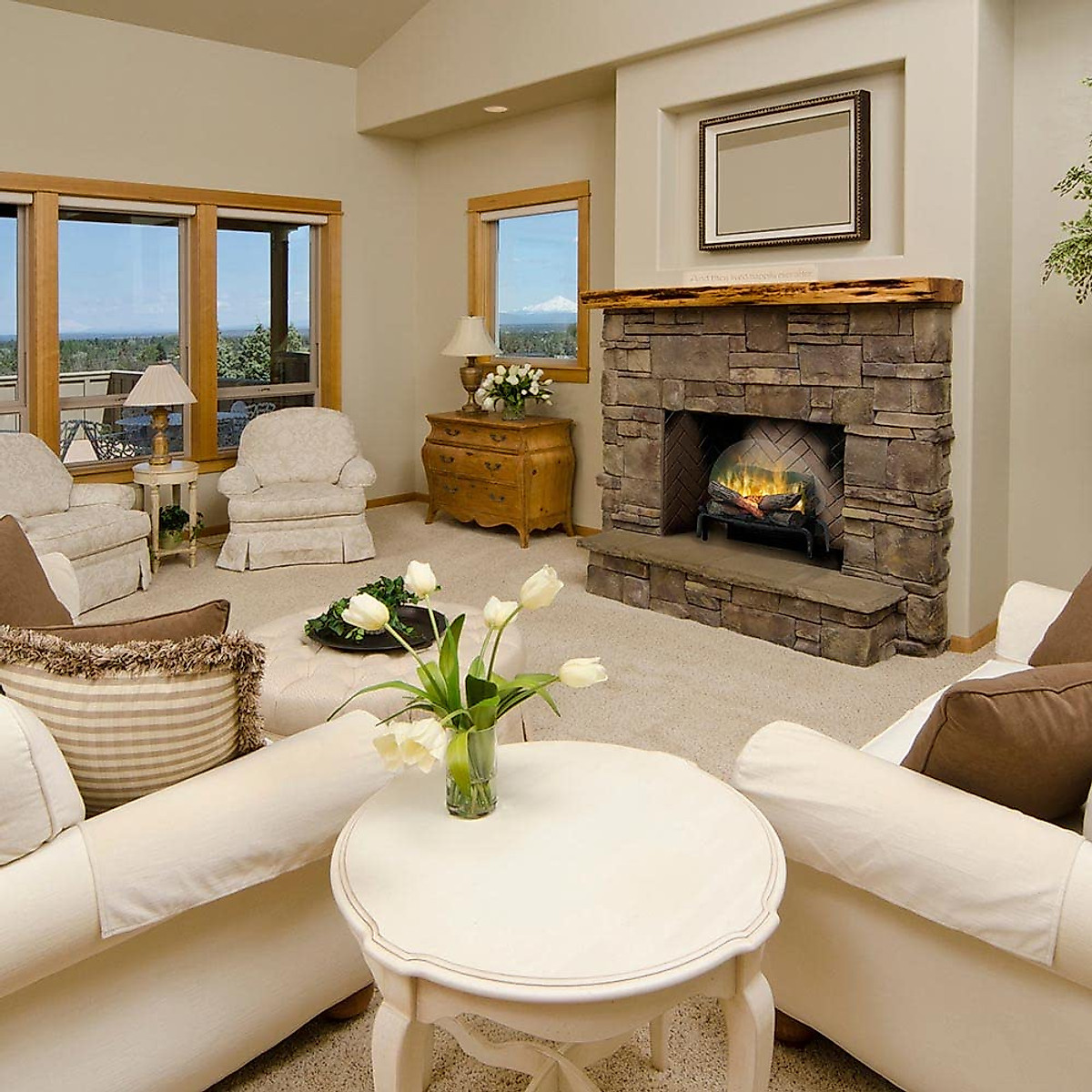 Dimplex Revillusion Electric Fireplace Log Insert - 20 Inch Faux Wooden Logs, Plug in Electric Heater; Remote Control Included - Supplemental Zone Heat | Model #RLG20