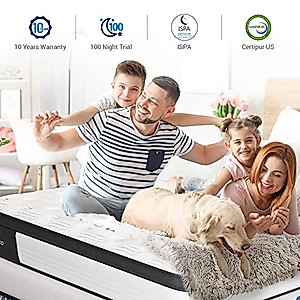 Avenco Queen Mattress 12 Inch, Hybrid Mattress Queen Medium Firm, Queen Mattress in a Box with Pocketed Springs CertiPUR-US Foam Mattress, Supportive&Pressure Relief, Breathable Fabric