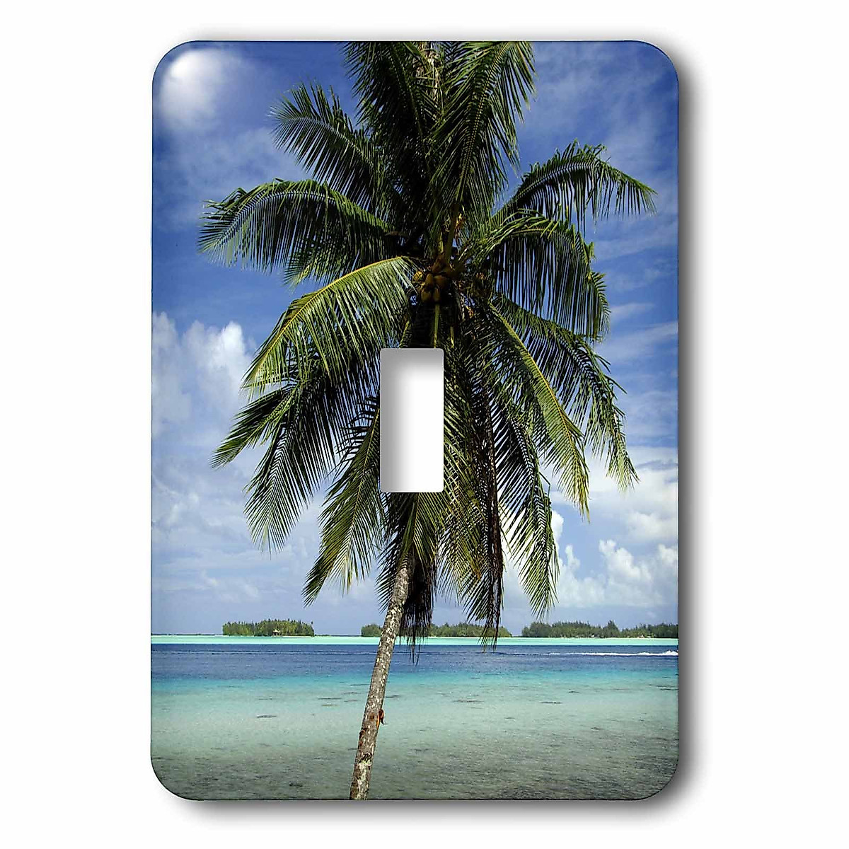 3dRose lsp_85033_1 French Polynesia, Bora Bora, Palm Tree Oc13 Cmi0246 Cindy Miller Hopkins Light Switch Cover