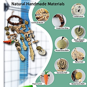 DAMPET 5 Strings， Bunny Teeth Grinding Chew Toys, Rabbit Cage Hanging Chew Toys, All Natural Materials for Guinea Pigs, Hamsters, Rabbits and Rats