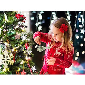 Felt Bird Ornaments - Chickadee Christmas Ornament 2023 Black Capped Chickadee Ornament - Fair Trade, Hand Felted Made in Nepal - Comes in an Organza Bag so It's Ready for Giving