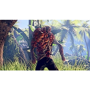 Dead Island Definitive Collection Edition (PS4)