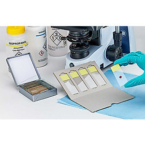 Globe Scientific 513004 Cardboard Slide Mailer for 4 Slide (Case of 50)